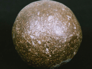 100 anos de Roald Dahl! - Dicas de Livros | Blog A Taba