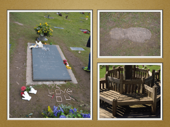 100 anos de Roald Dahl! - Dicas de Livros | Blog A Taba